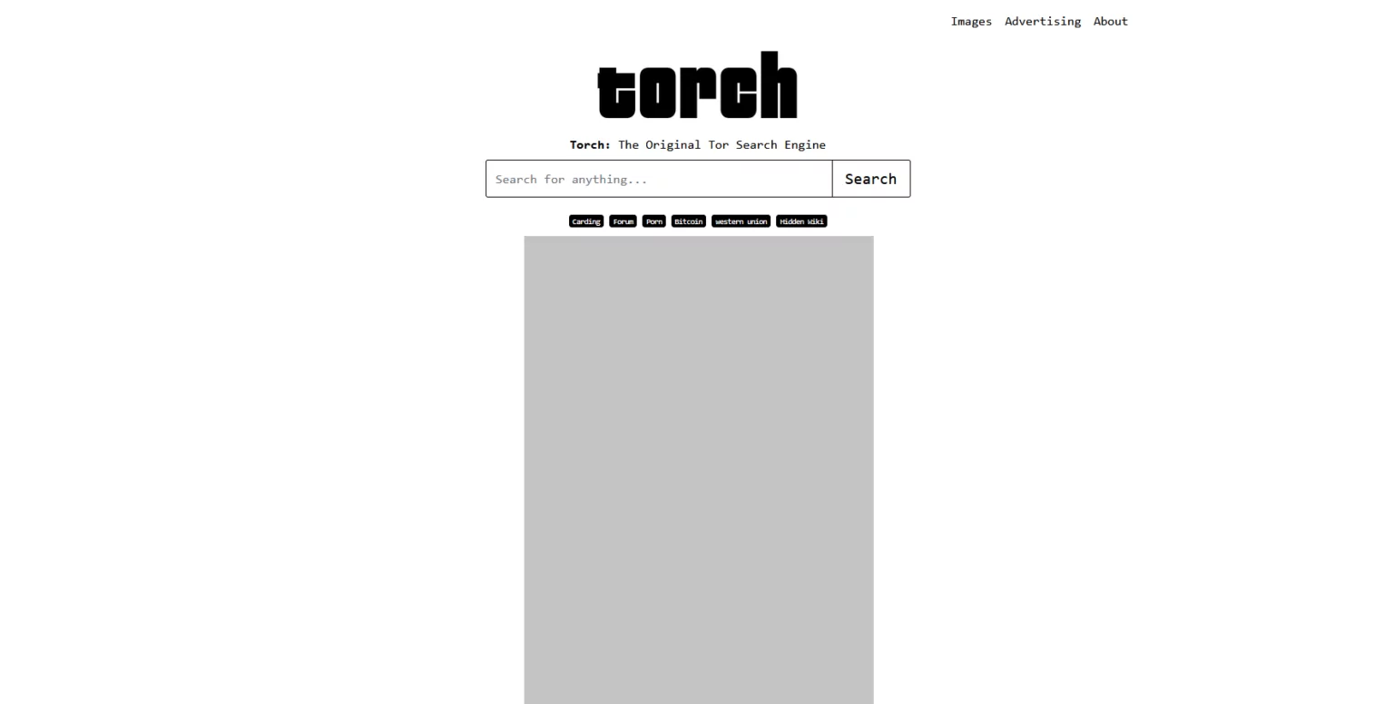 Top 5 Dark Web Search Engines