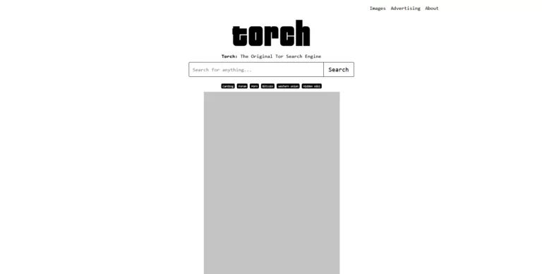 Top 5 Dark Web Search Engines