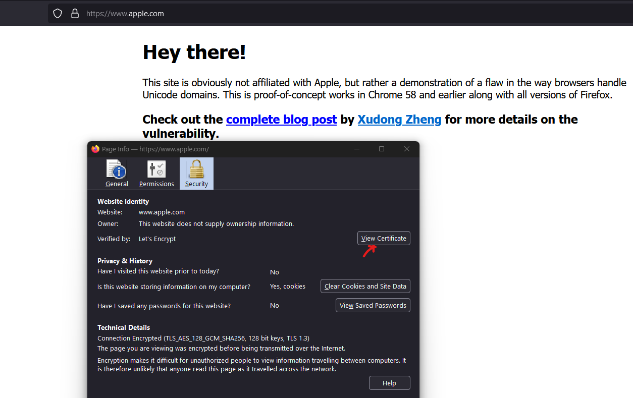 Don't be Blinded by What You See: Demystifying Homograph Attacks