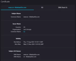 Don't be Blinded by What You See: Demystifying Homograph Attacks