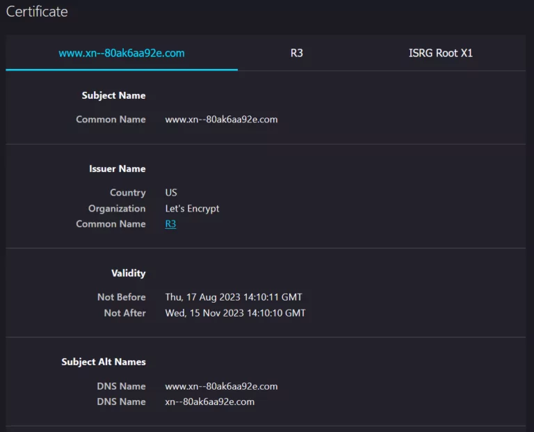 Don't be Blinded by What You See: Demystifying Homograph Attacks