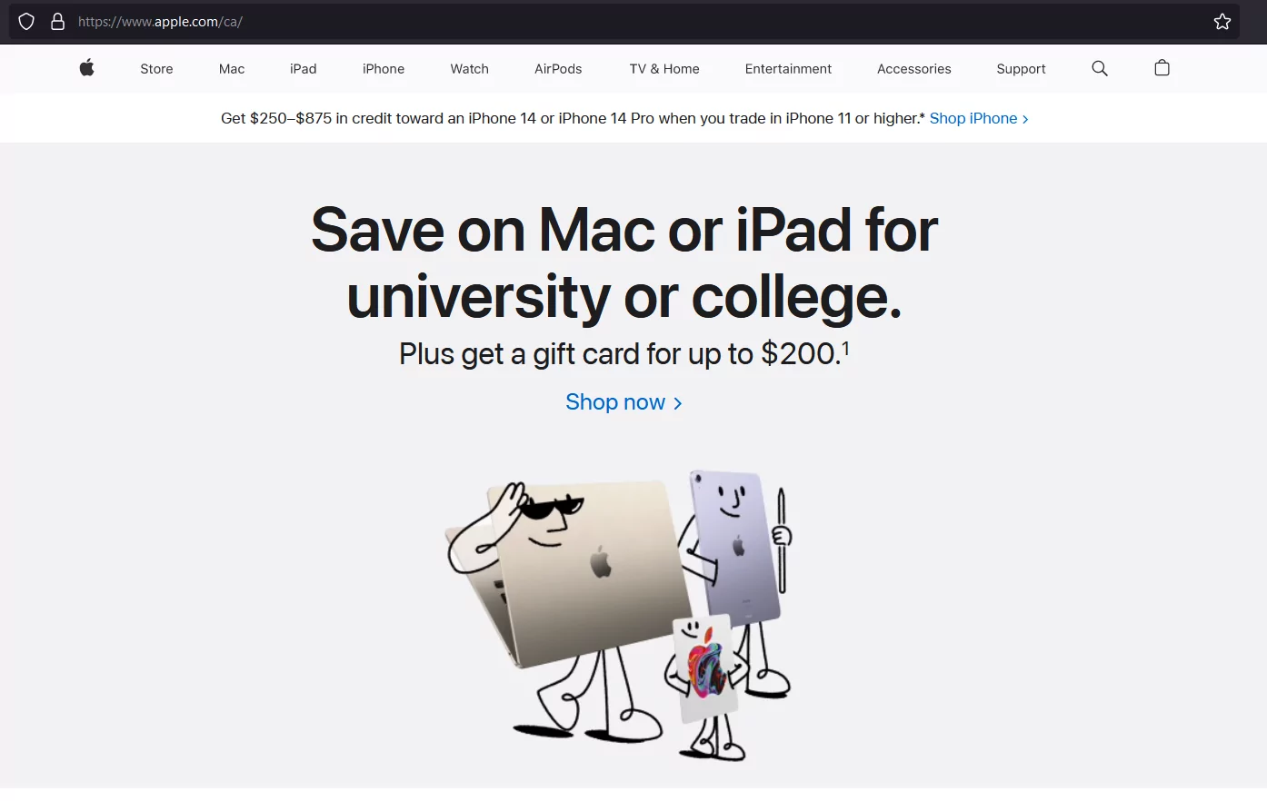 Don't be Blinded by What You See: Demystifying Homograph Attacks