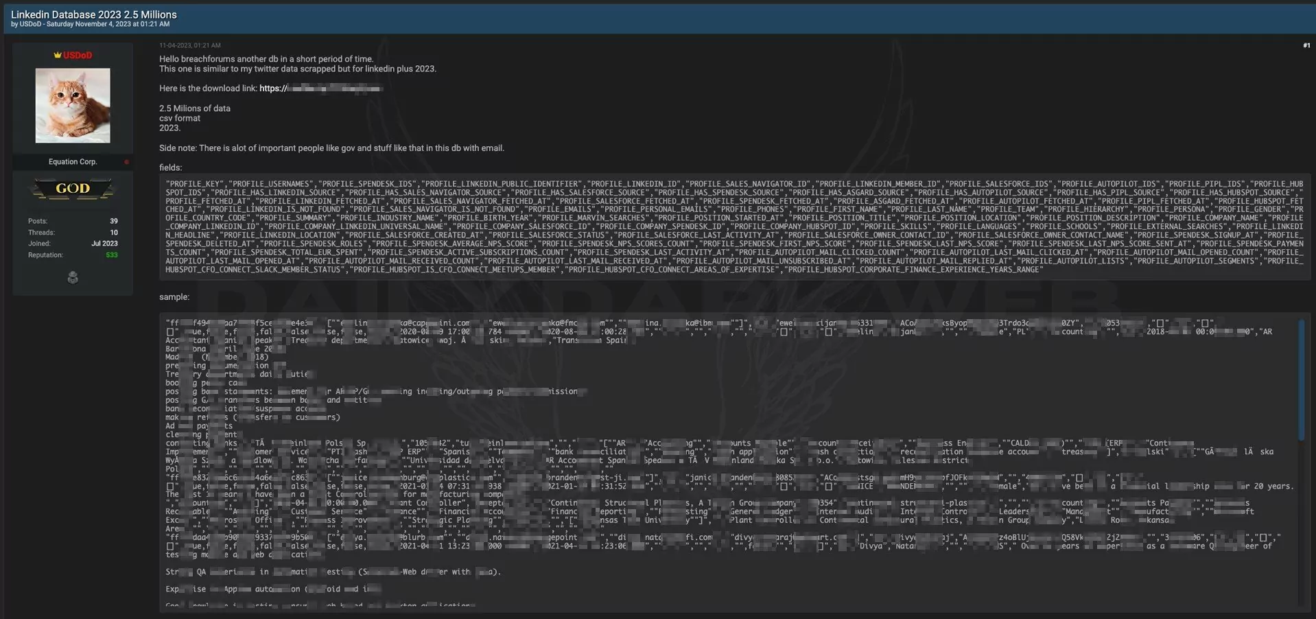 Unmasking USDoD: The Enigma of the Cyber Realm